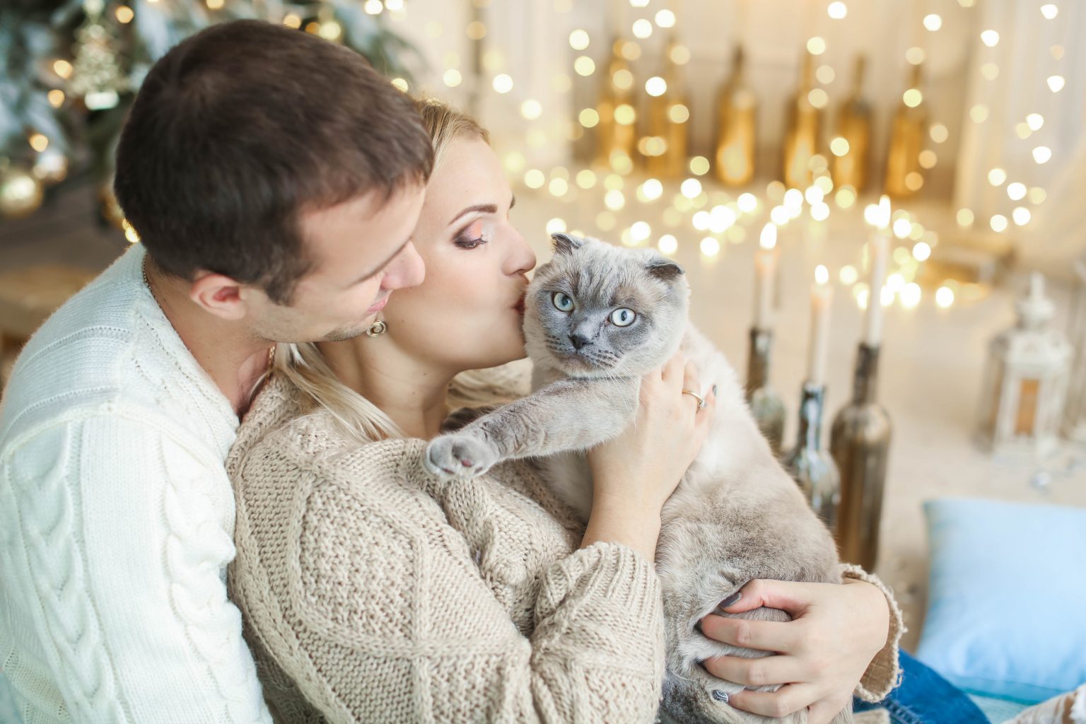 See Why A Cat Café Makes A Great Date For Cat Lovers