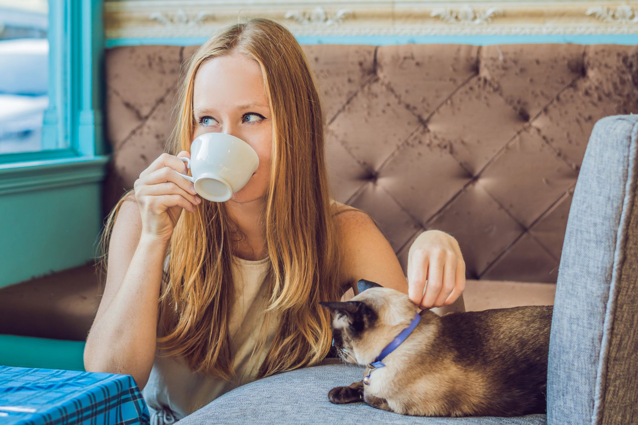 A Pet Lovers Date to a Cat Café