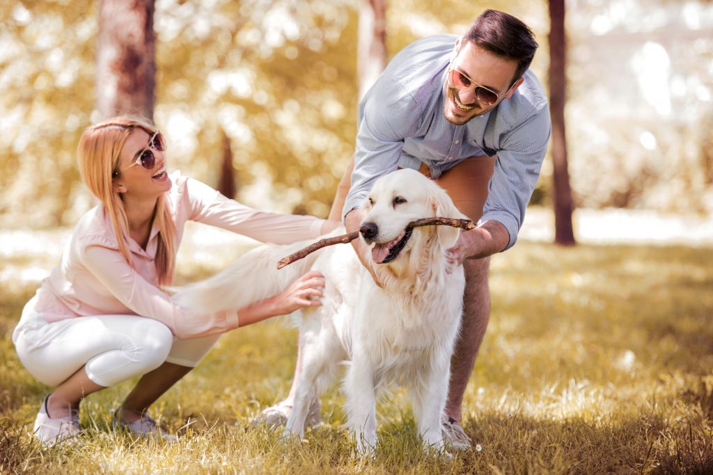 Pet and Partner: Blending Two Important Parts of Your Life - FetchaDate ...