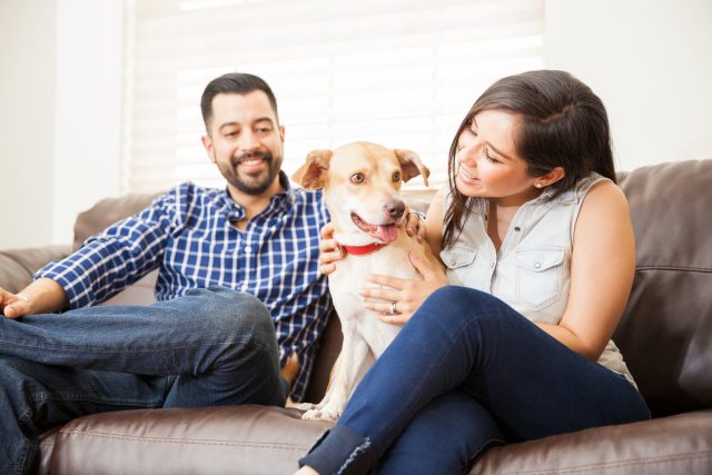 Five Reasons Why Animal Lovers Make Better Partners