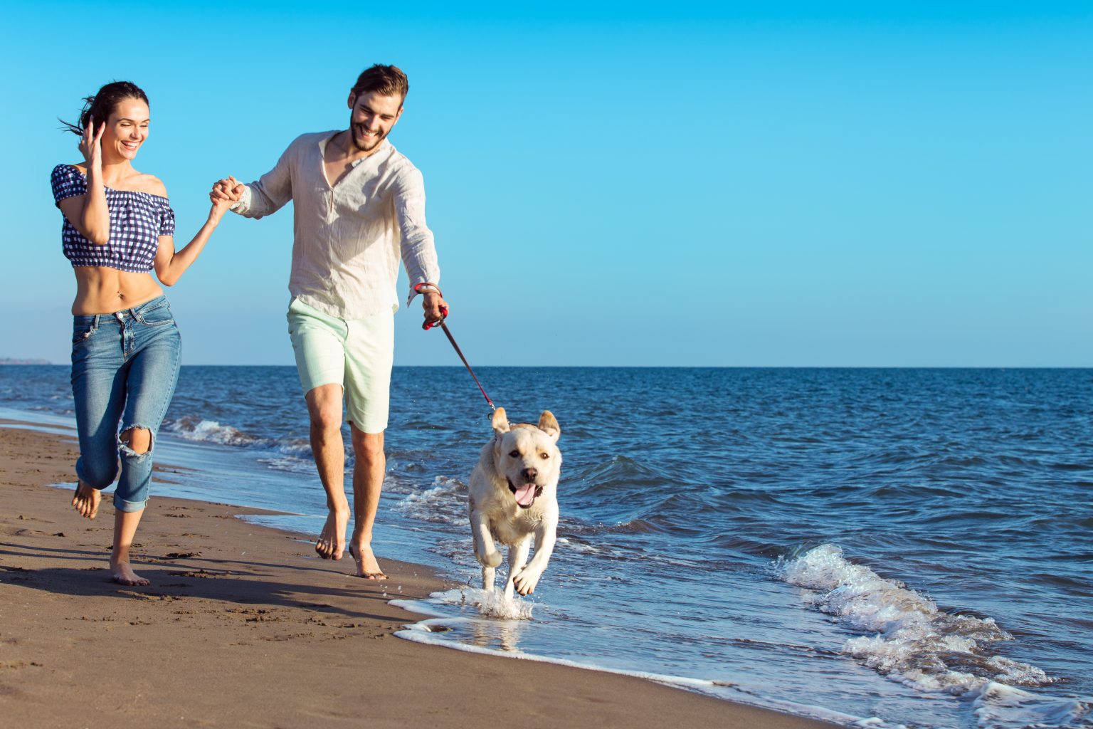 Pet and Partner: Blending Two Important Parts of Your Life - FetchaDate ...