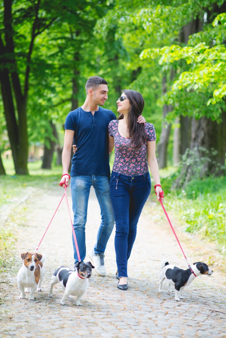 Pets for Millennials: Embracing the Pet Ownership Trend - FetchaDate ...