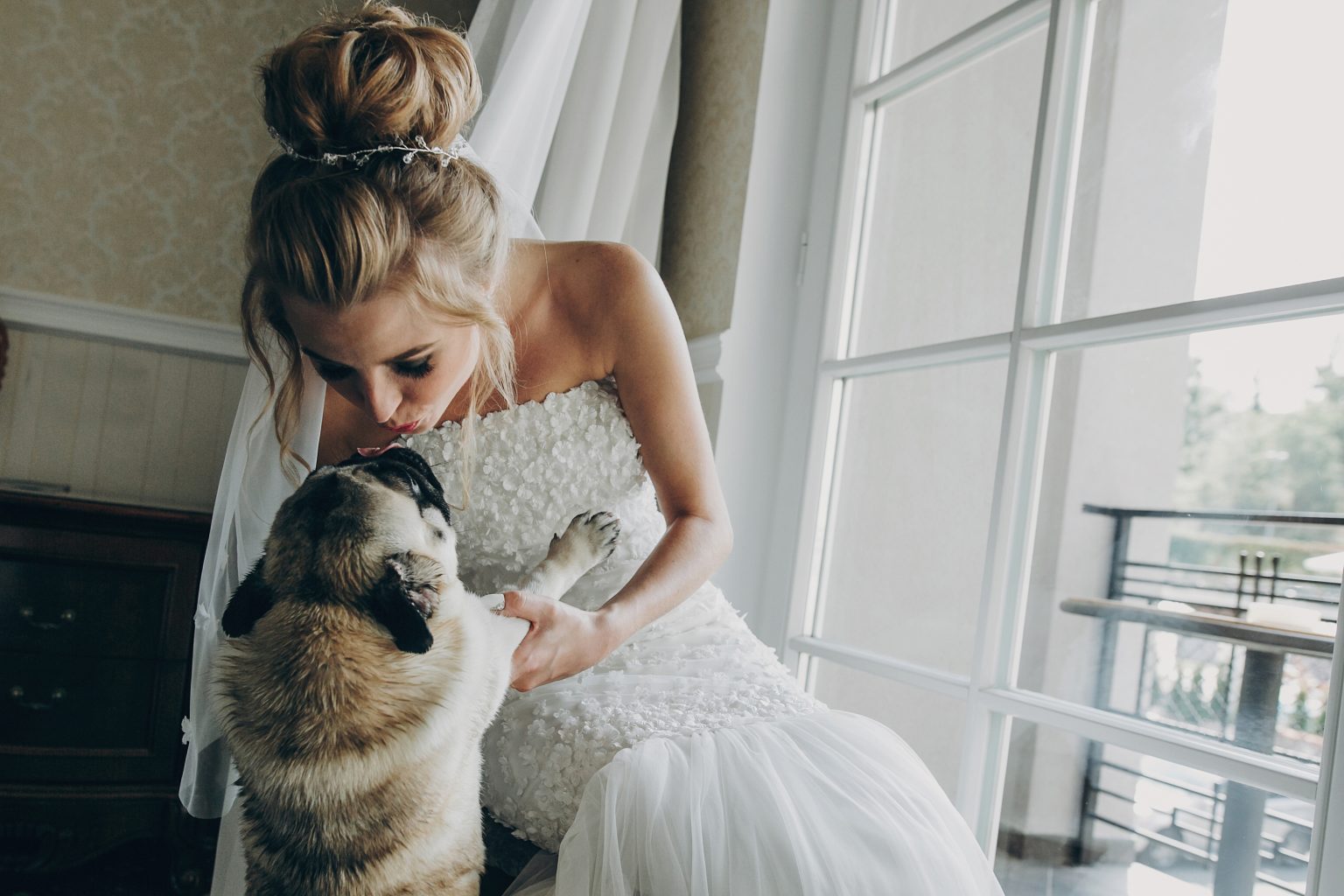 Why You Should Consider Including Your Pet on Your Wedding Day ...