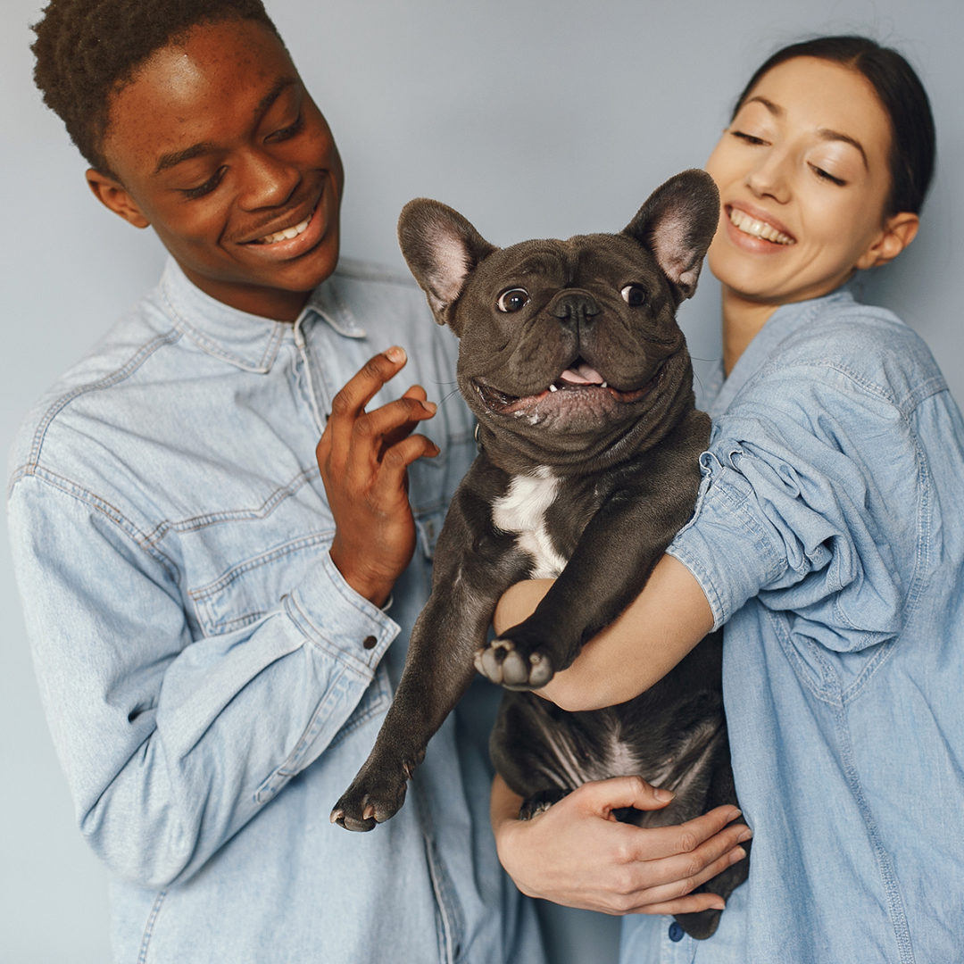 Building a Bond with Your Partner's Pet: How to Win Their Affection