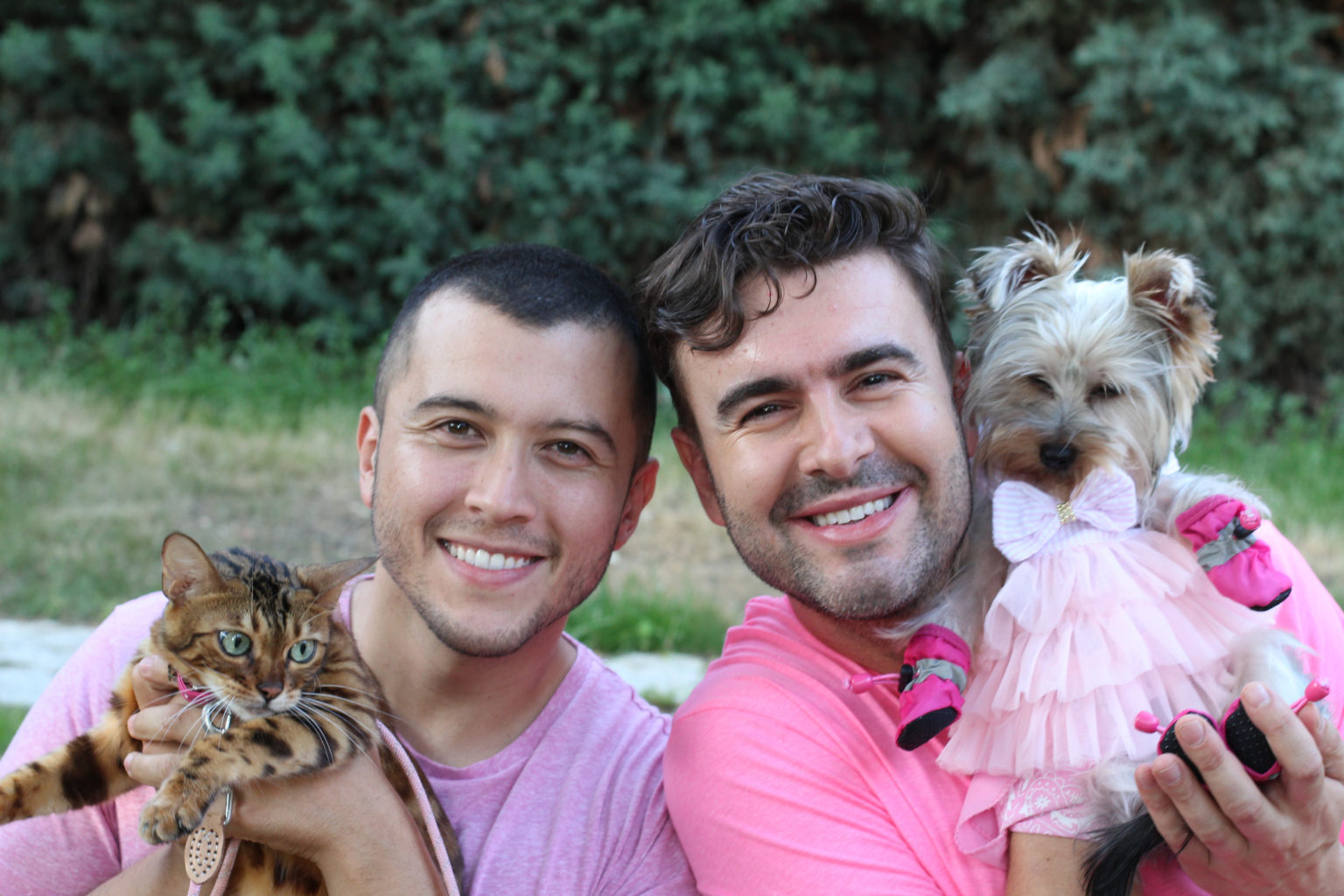 How Pets Dating Can Teach Us Valuable Relationship Lessons