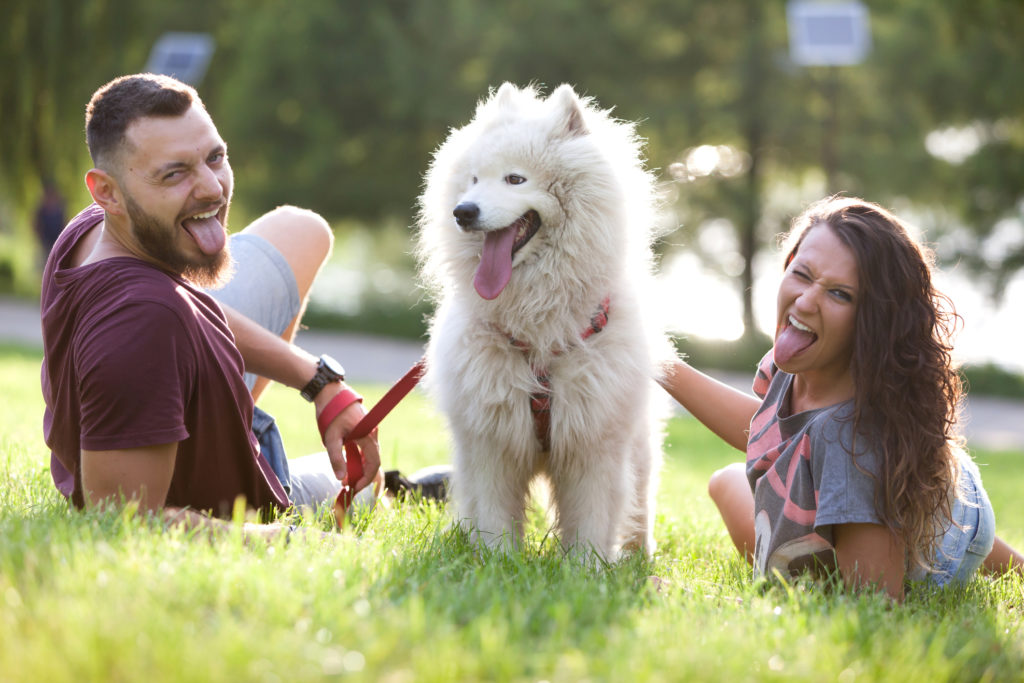 Is your pet lover dating type less tall, dark and handsome?