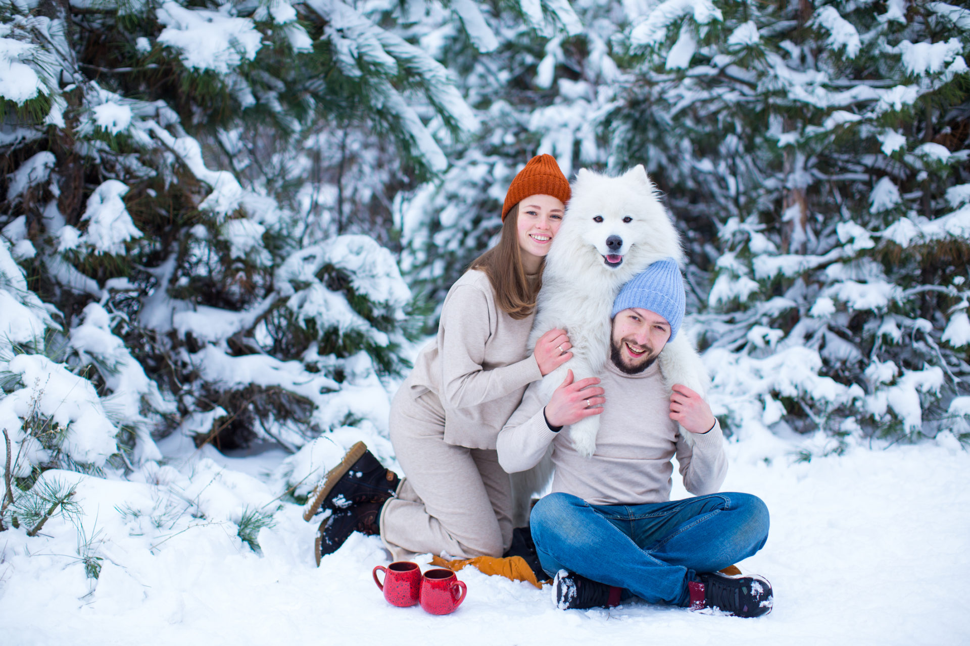 How to date a pet lover