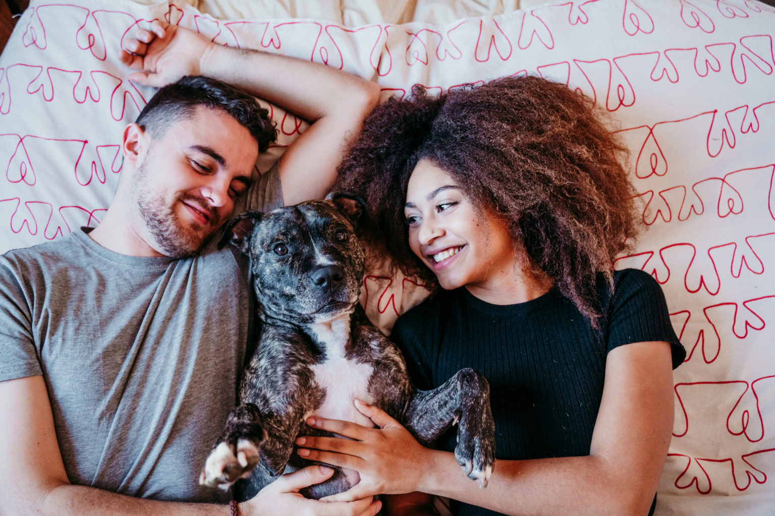 Navigating the scenes while dating dog lovers and cat people ...